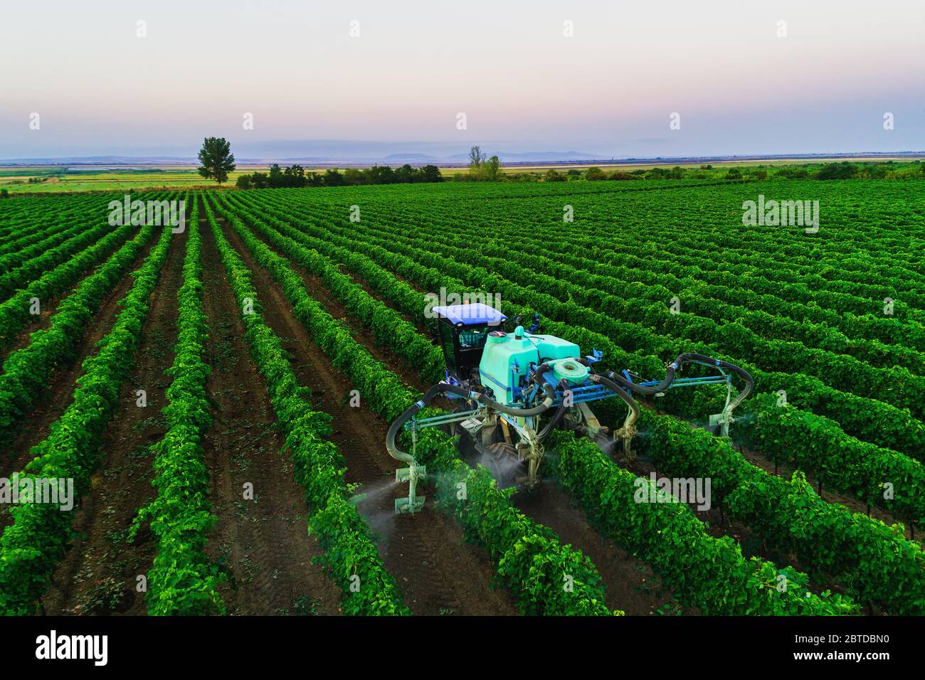 Tractor spraying vines over vineyard in Europe Stock Photo - Alamy