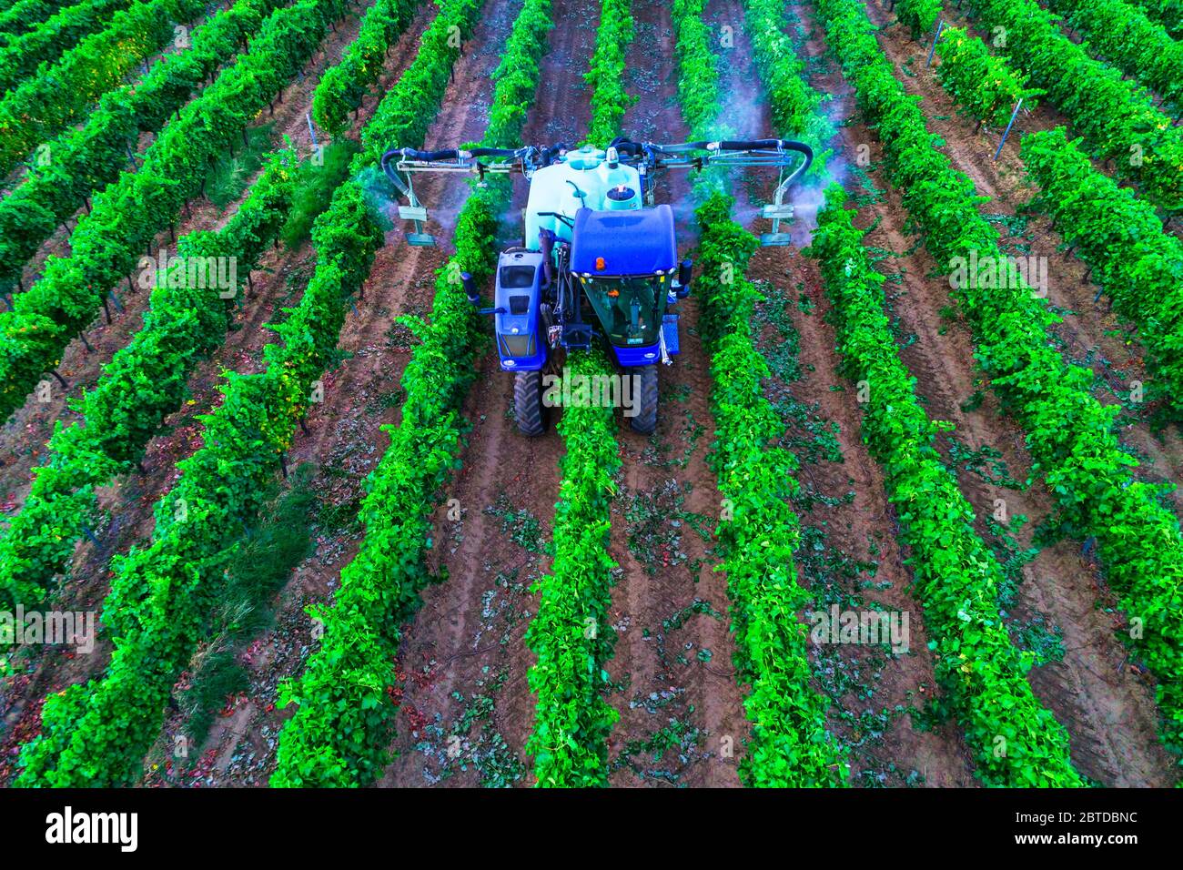 Vineyard grape harvest tractor aerial hi-res stock photography and ...
