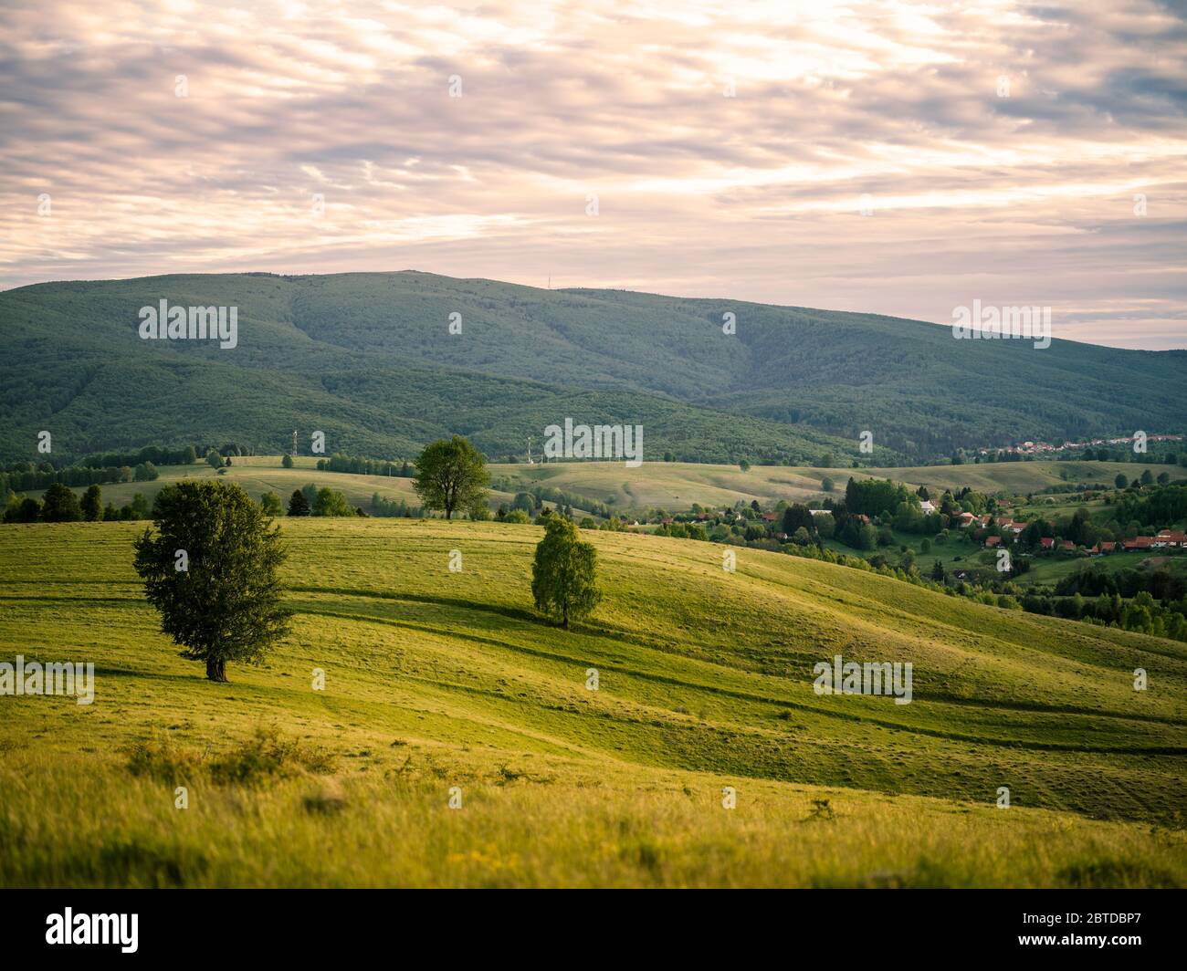 Country side view, with beautiful hills and trees Stock Photo - Alamy