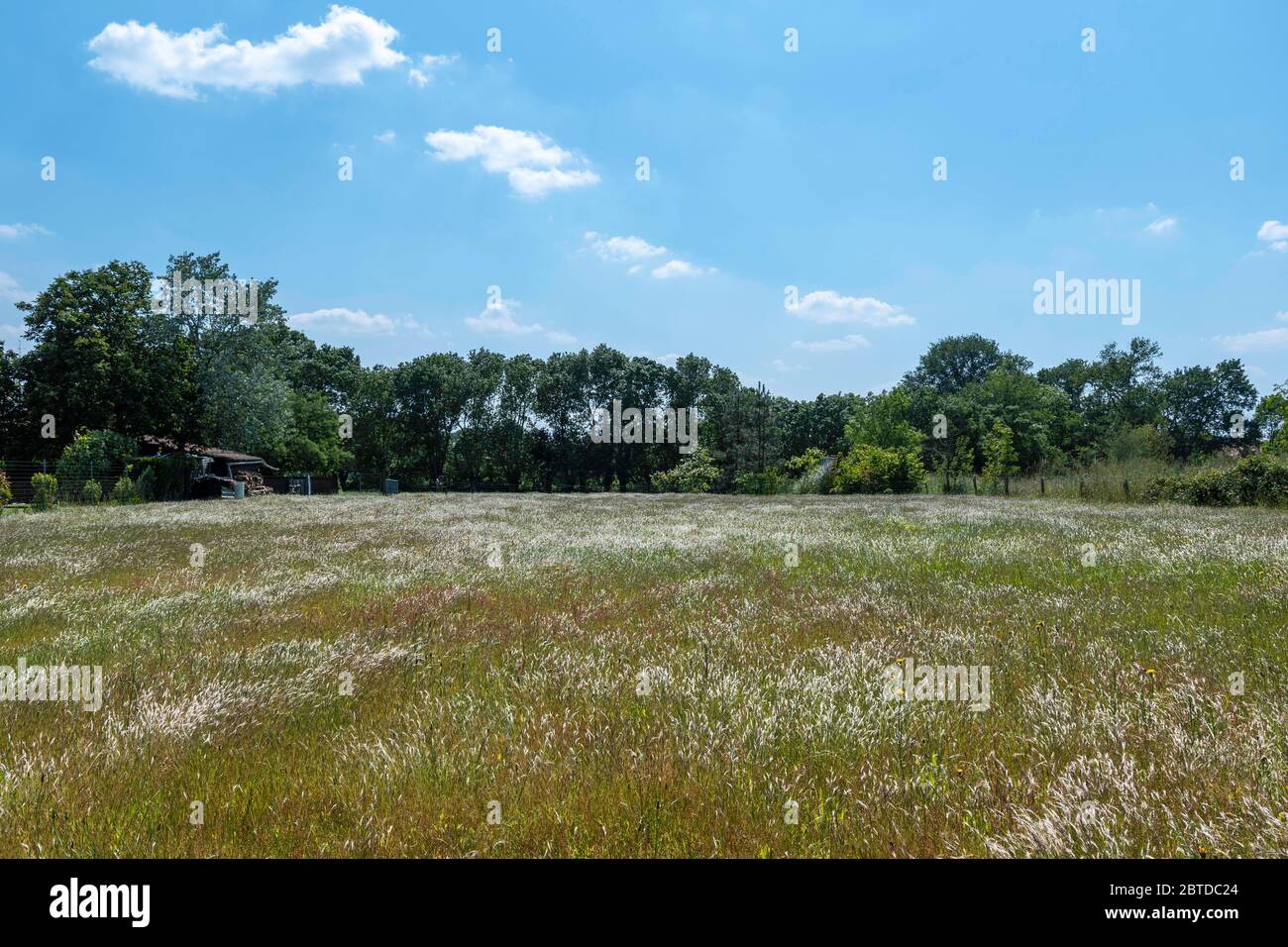 Beautiful scenery great field hi-res stock photography and images - Alamy