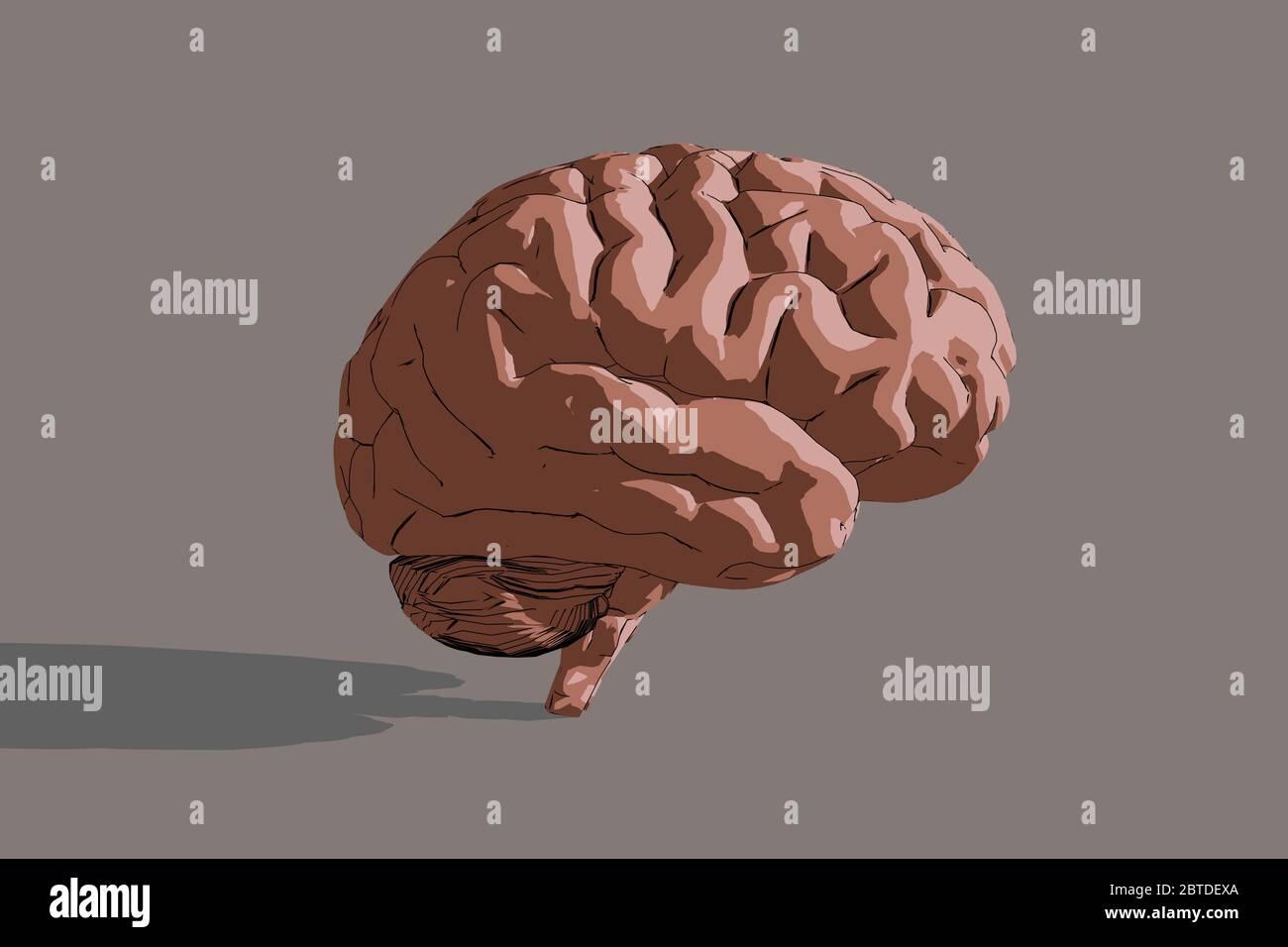3d illustration of human brain over dark background with shadow Stock ...