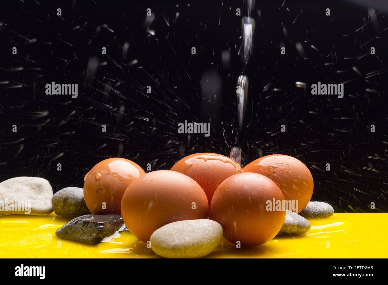 Farm fresh chicken eggs, washing eggs. The shell and shape of the egg ...