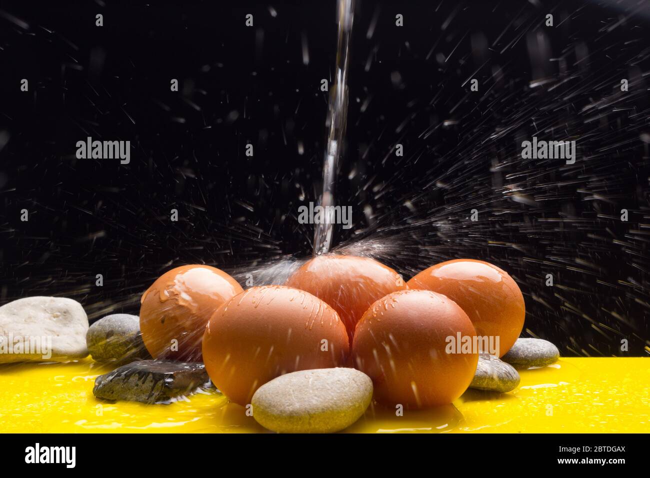 Farm fresh chicken eggs, washing eggs. The shell and shape of the egg ...