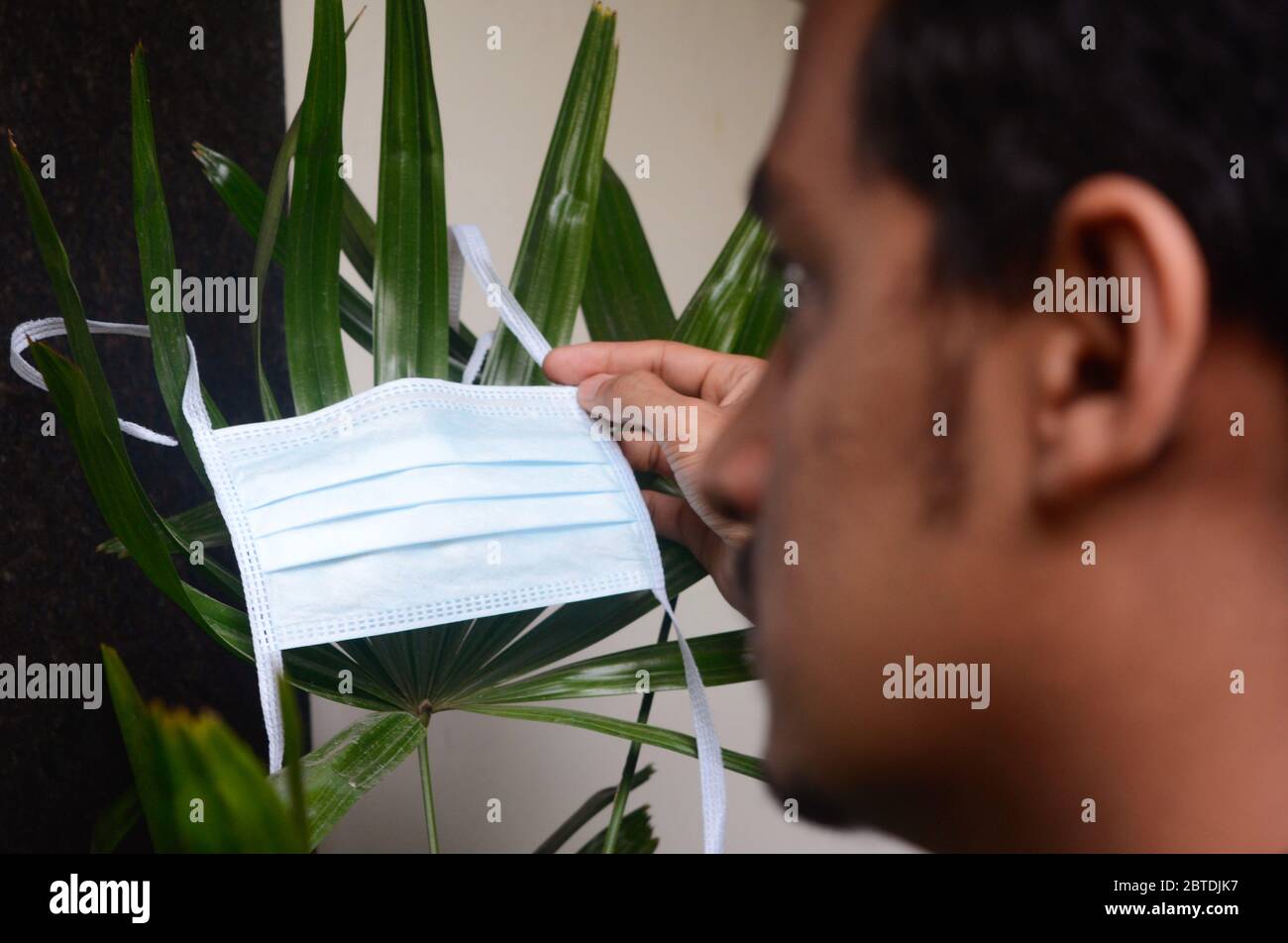 Mask lying on green plants hi-res stock photography and images - Alamy