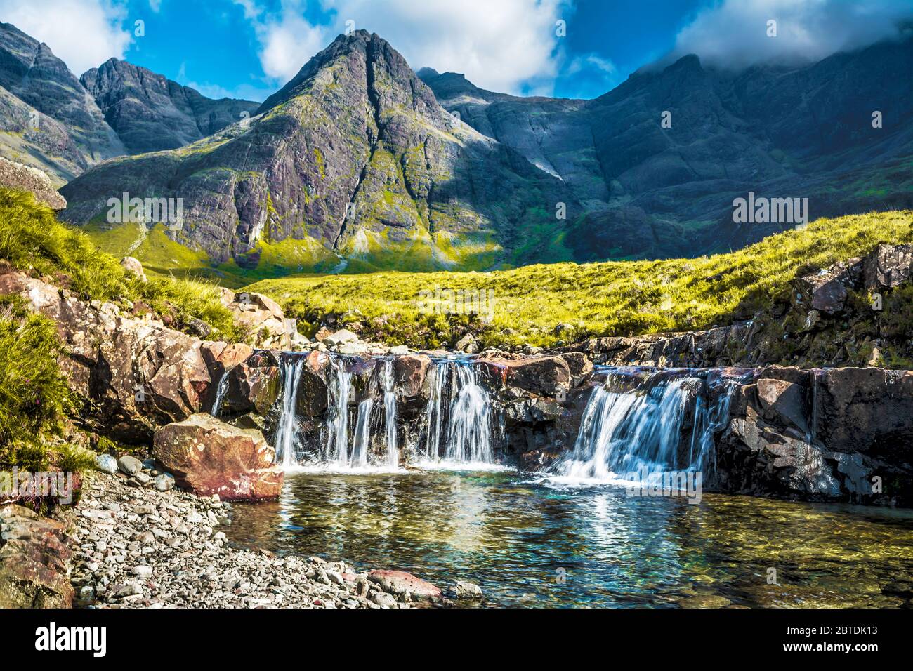 Forest on skye hi-res stock photography and images - Alamy