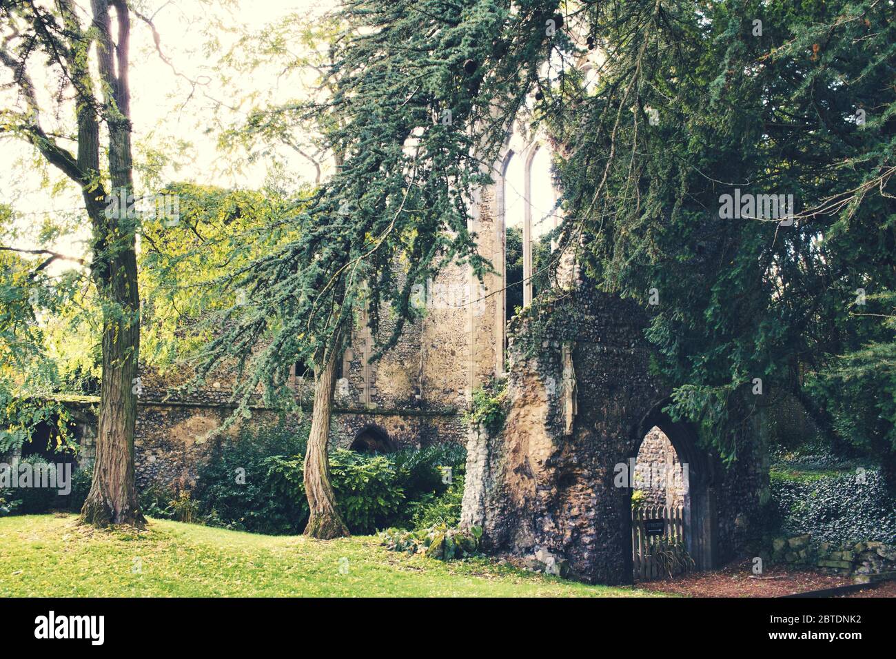 Refectory Ruins, Walsingham Abbey, Little Walsingham, Norfolk, UK Stock ...