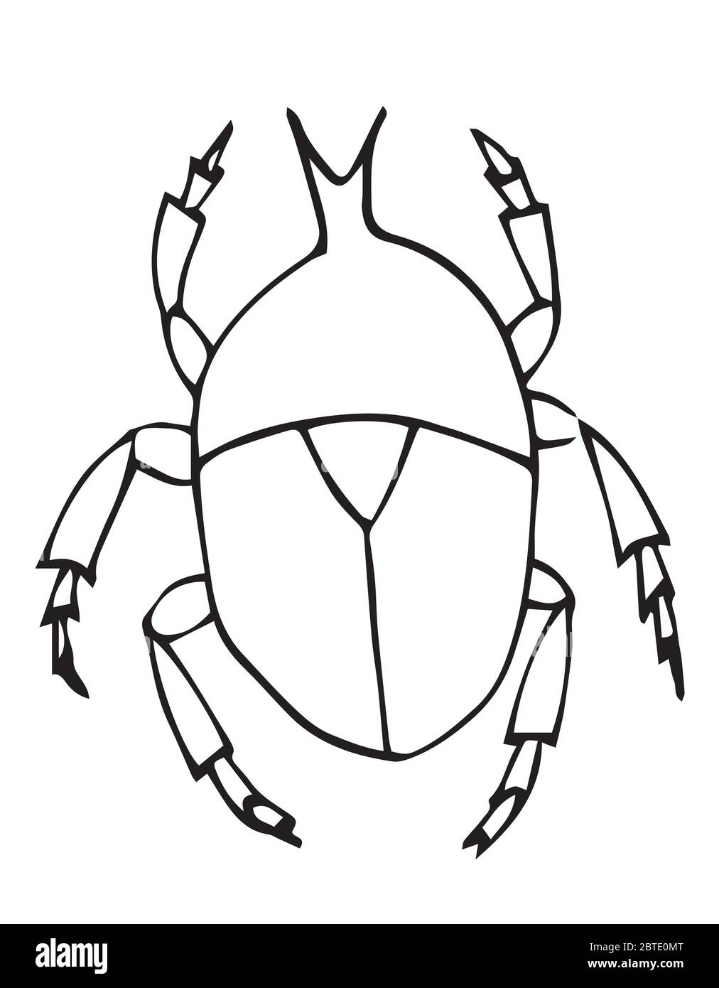 Bug outline vector, Isolated on white background, coloring page book ...