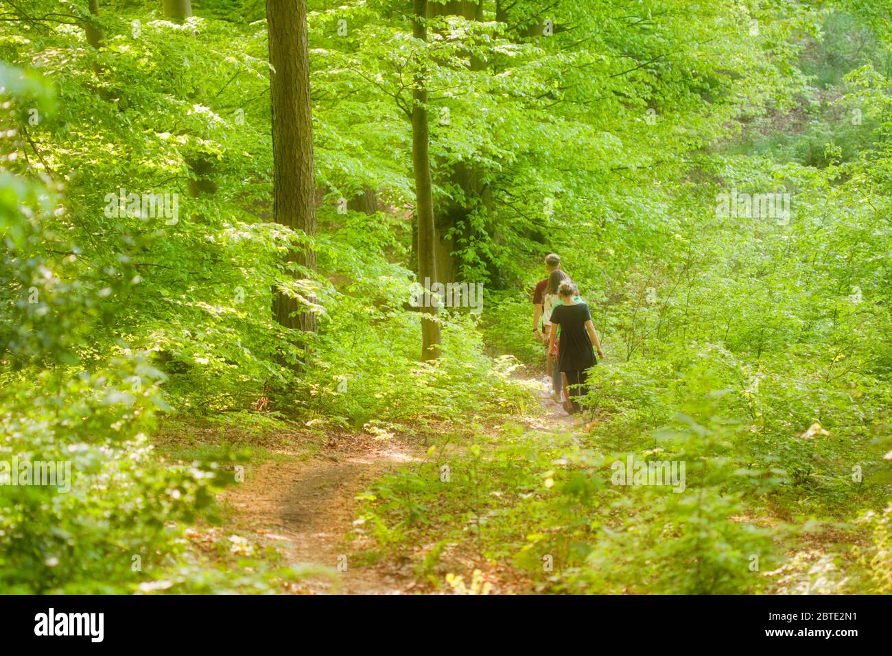 Ramblers taking a break in woods hi-res stock photography and images ...