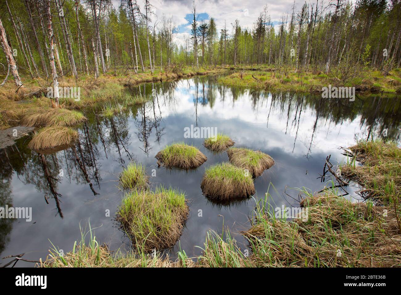 What to do in finland hi-res stock photography and images - Alamy