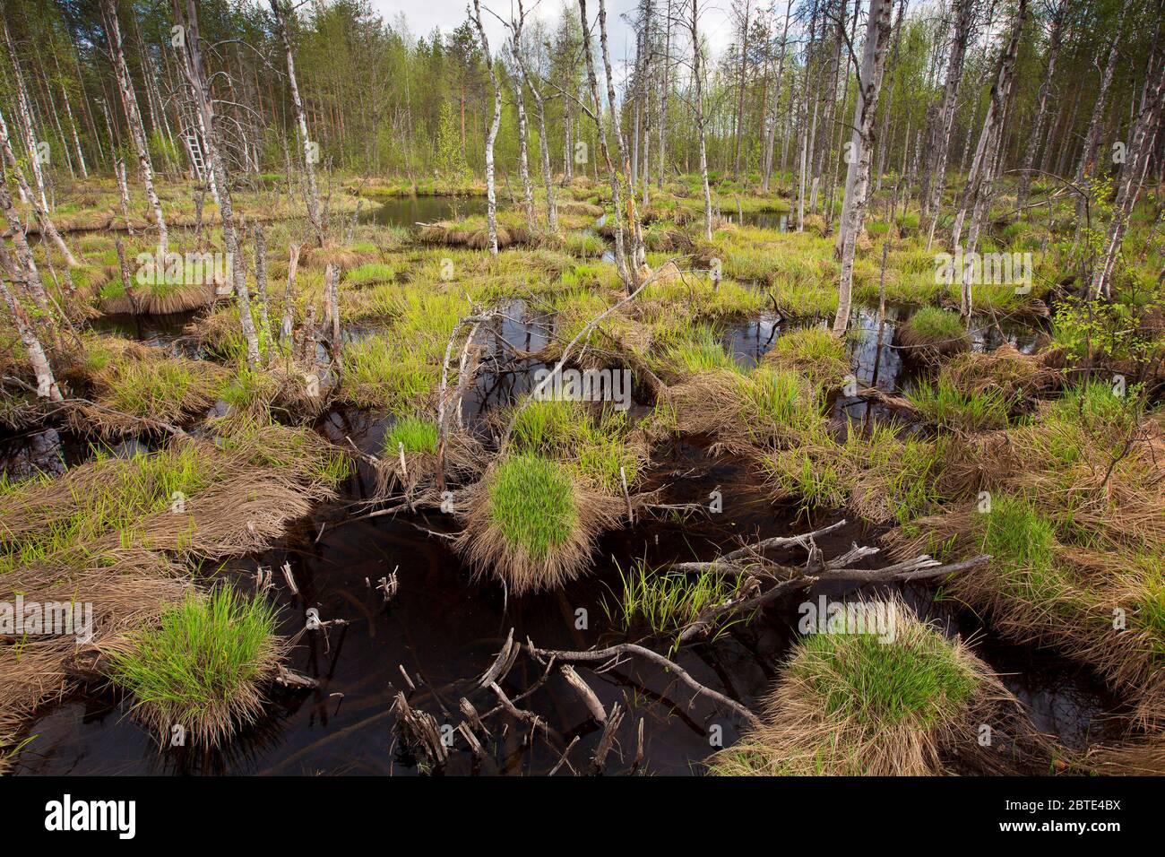 What to do in finland hi-res stock photography and images - Alamy