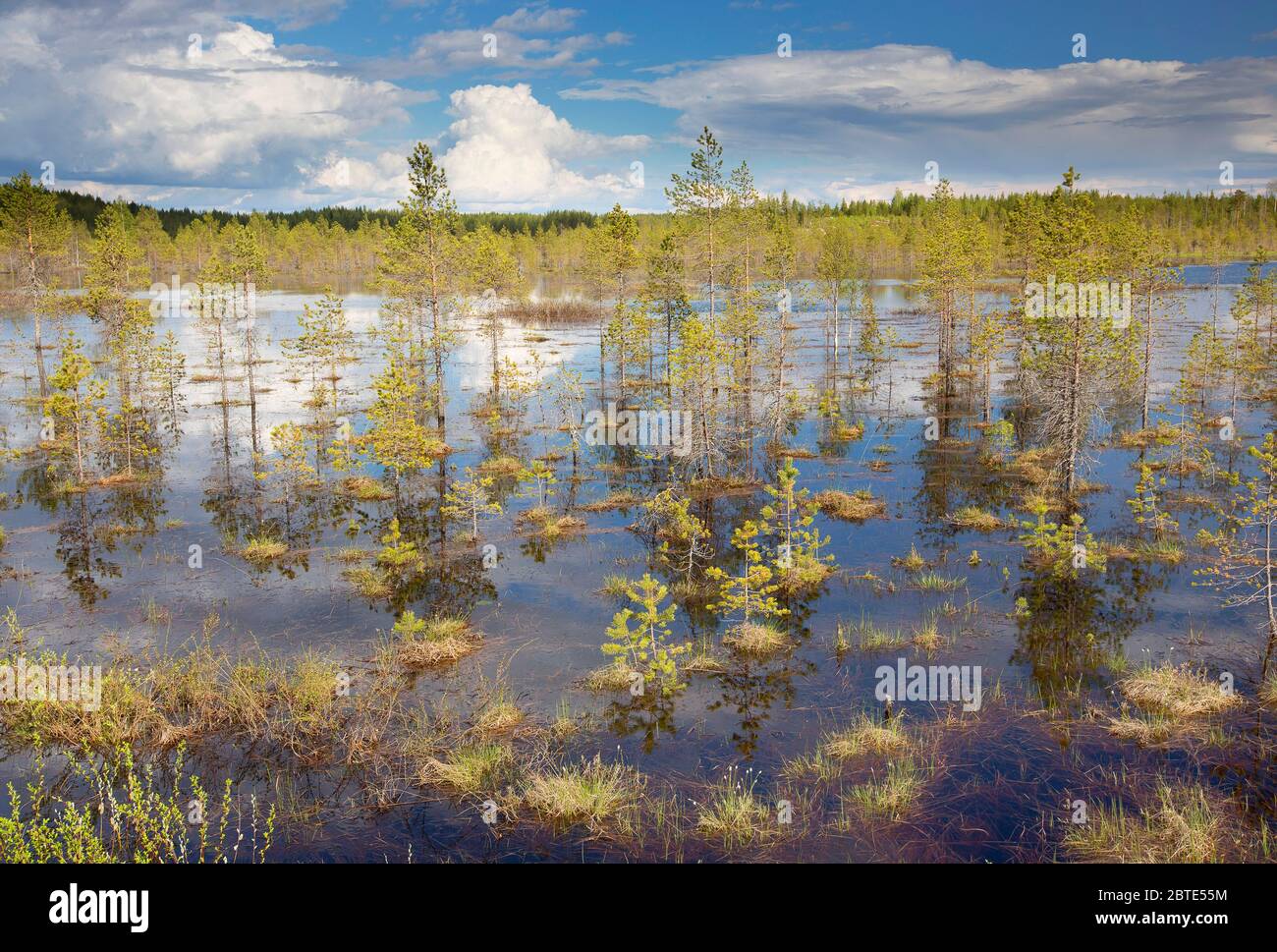 What to do in finland hi-res stock photography and images - Alamy
