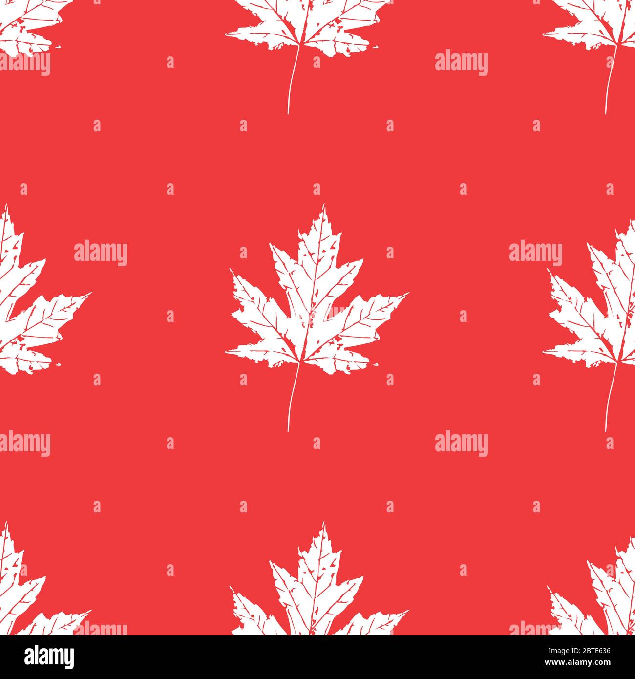 Prints of leaves of trees. Canadian Maple. Seamless pattern. White ...