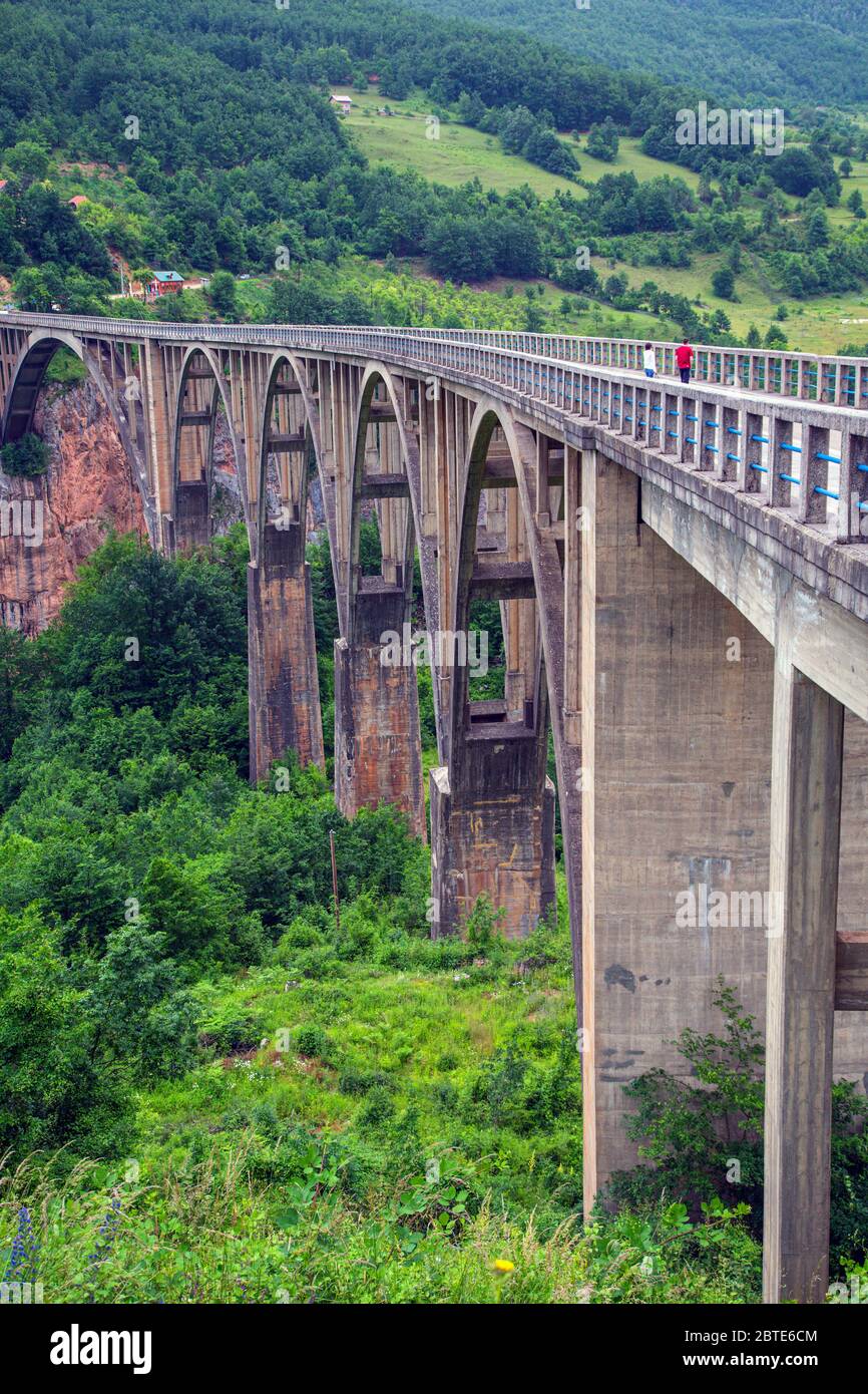 Montenegro. Durmitor National Park. The Tara Bridge crossing the Tara ...