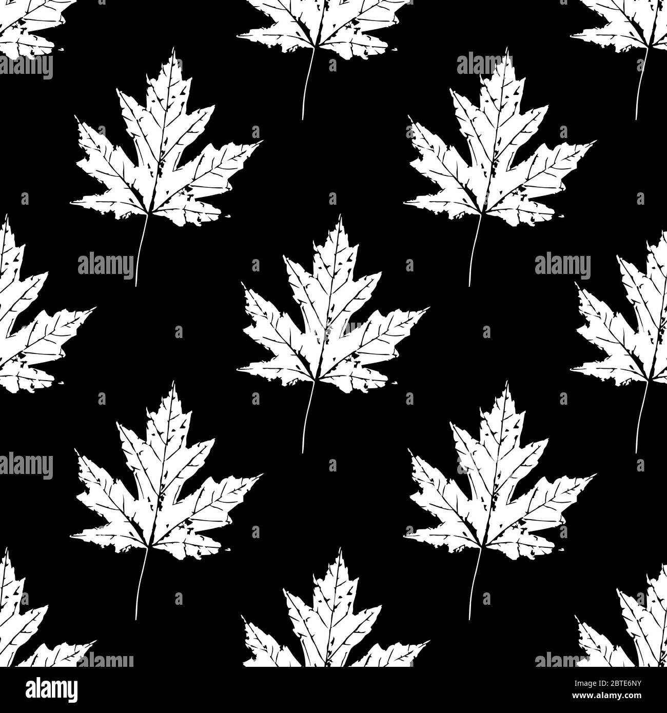 Canadian botanical garden Cut Out Stock Images & Pictures - Alamy