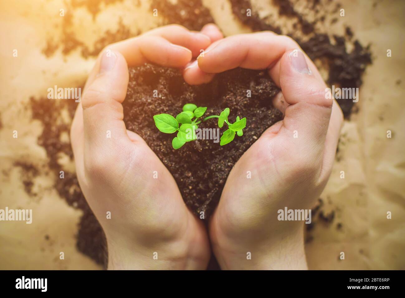 Loose earth and hands hi-res stock photography and images - Alamy