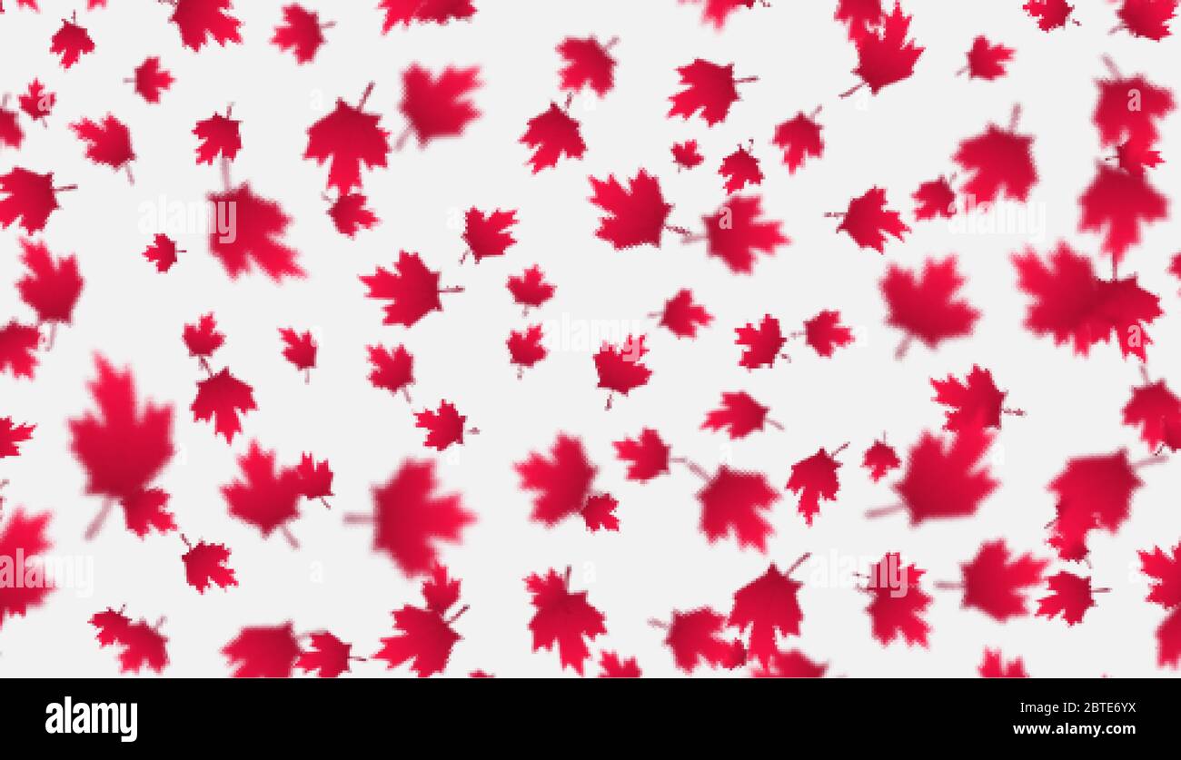 Falling red maple leaves background. Canada Day, July 1st celebration ...