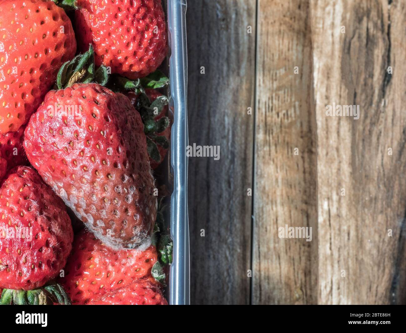 Rotten strawberries hi-res stock photography and images - Alamy