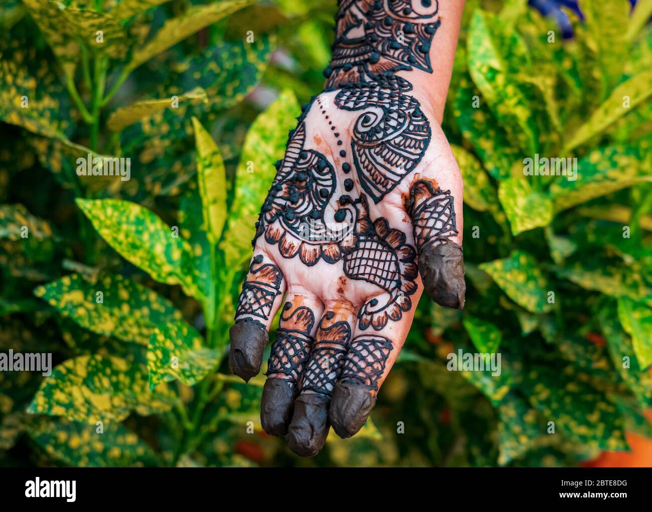 Henna design hi-res stock photography and images - Alamy