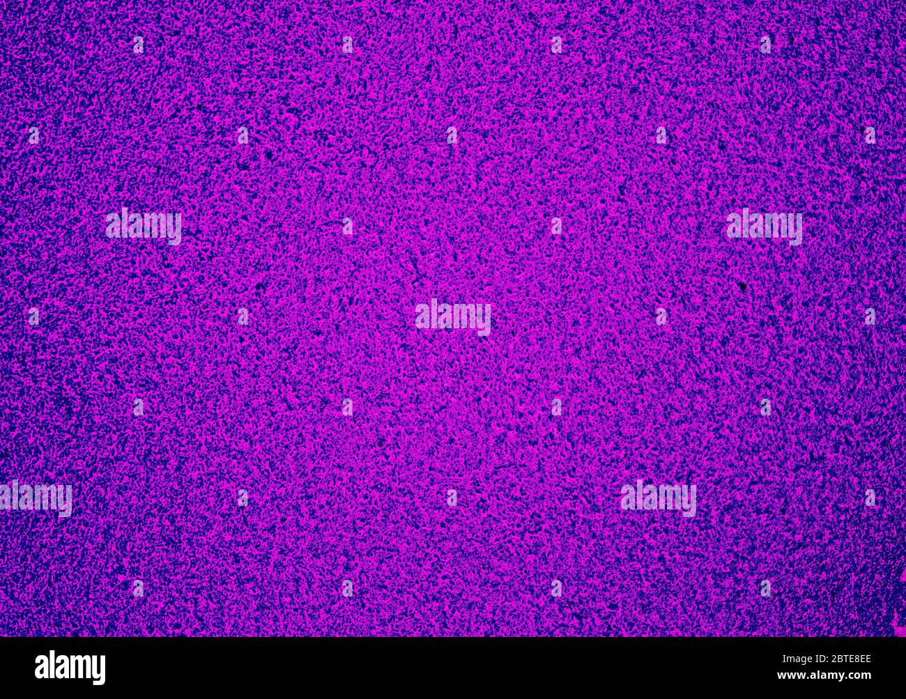 mauve violet background texture for graphic design and web design Stock ...