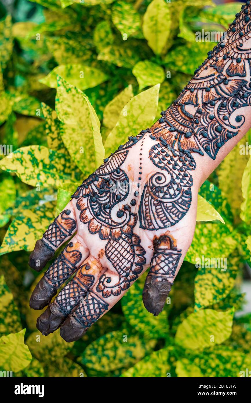 Henna design hi-res stock photography and images - Alamy