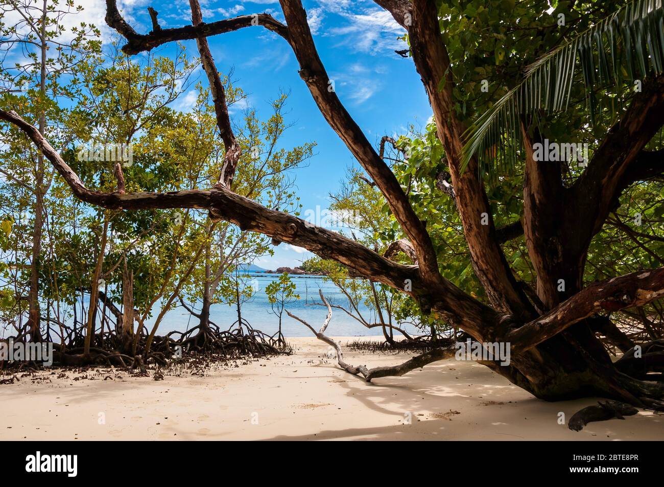 Tropical island Curieuse at Seychelles in the Indian Ocean, Africa ...