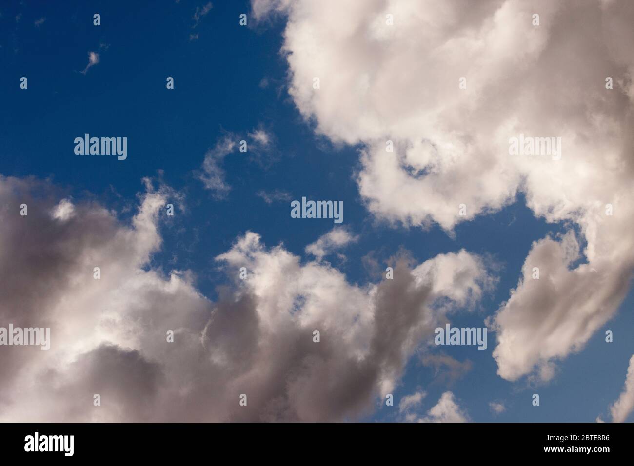 Distinctive shapes hi-res stock photography and images - Alamy