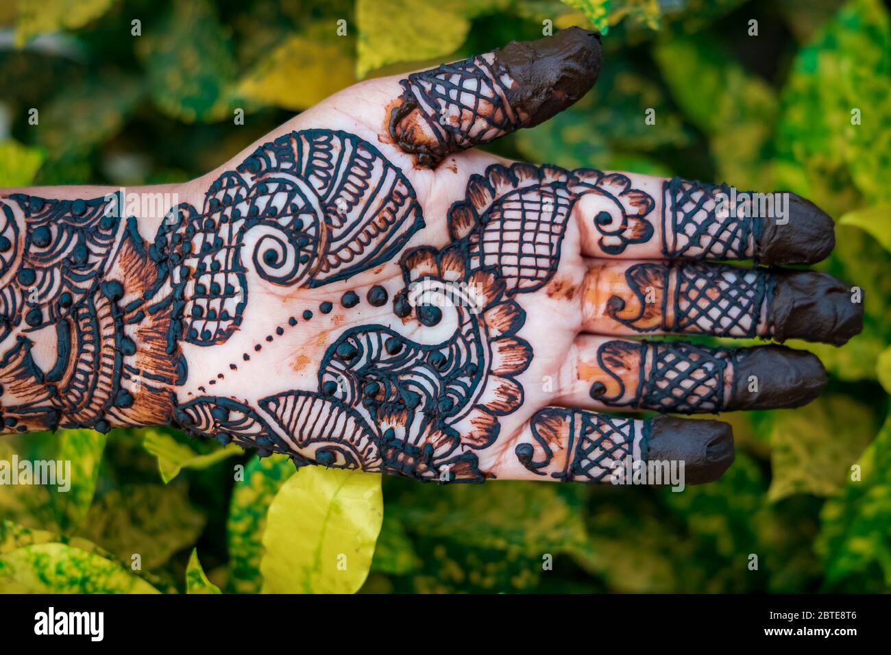 One showing her henna hands hi-res stock photography and images - Alamy