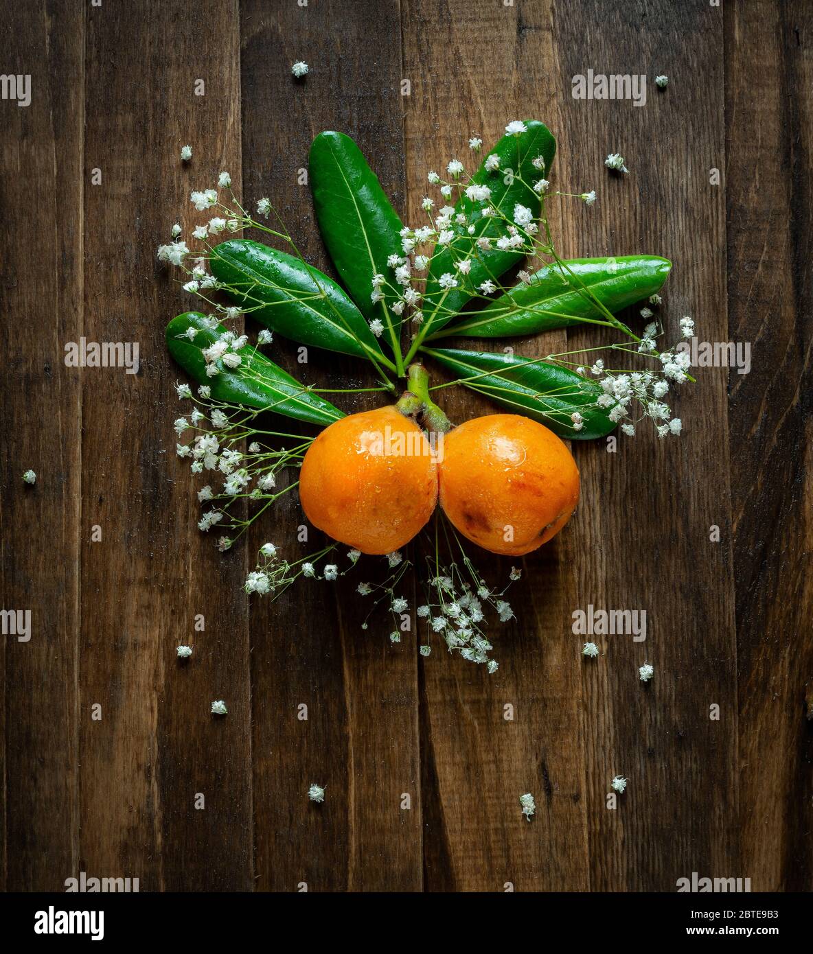 fresh and ripe yellow medlars freshly picked with leaves on wooden ...
