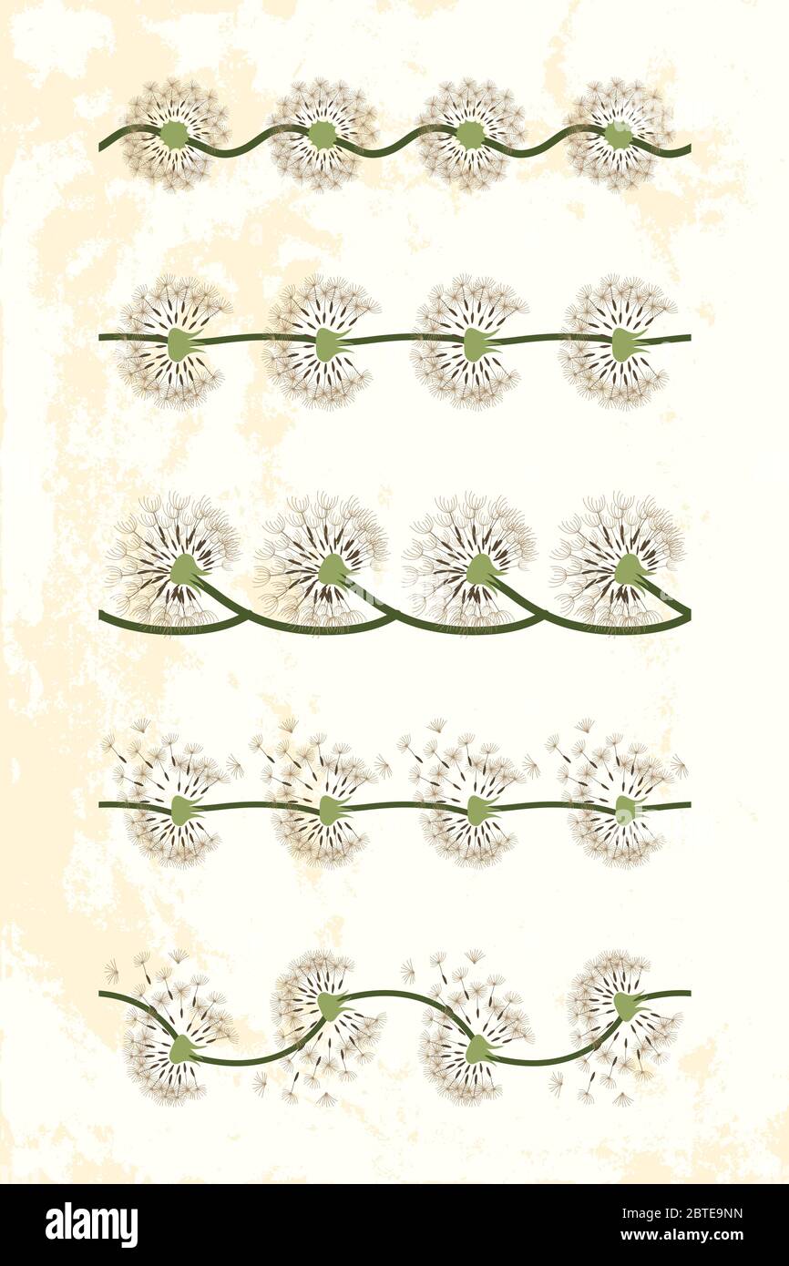Set of dandelion seamless borders on light yellow textured backdrop ...
