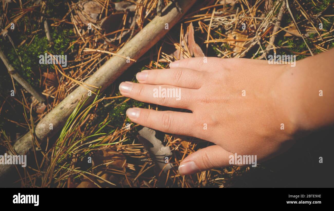 Closeup toned image of female hand gently touching ground in forest ...