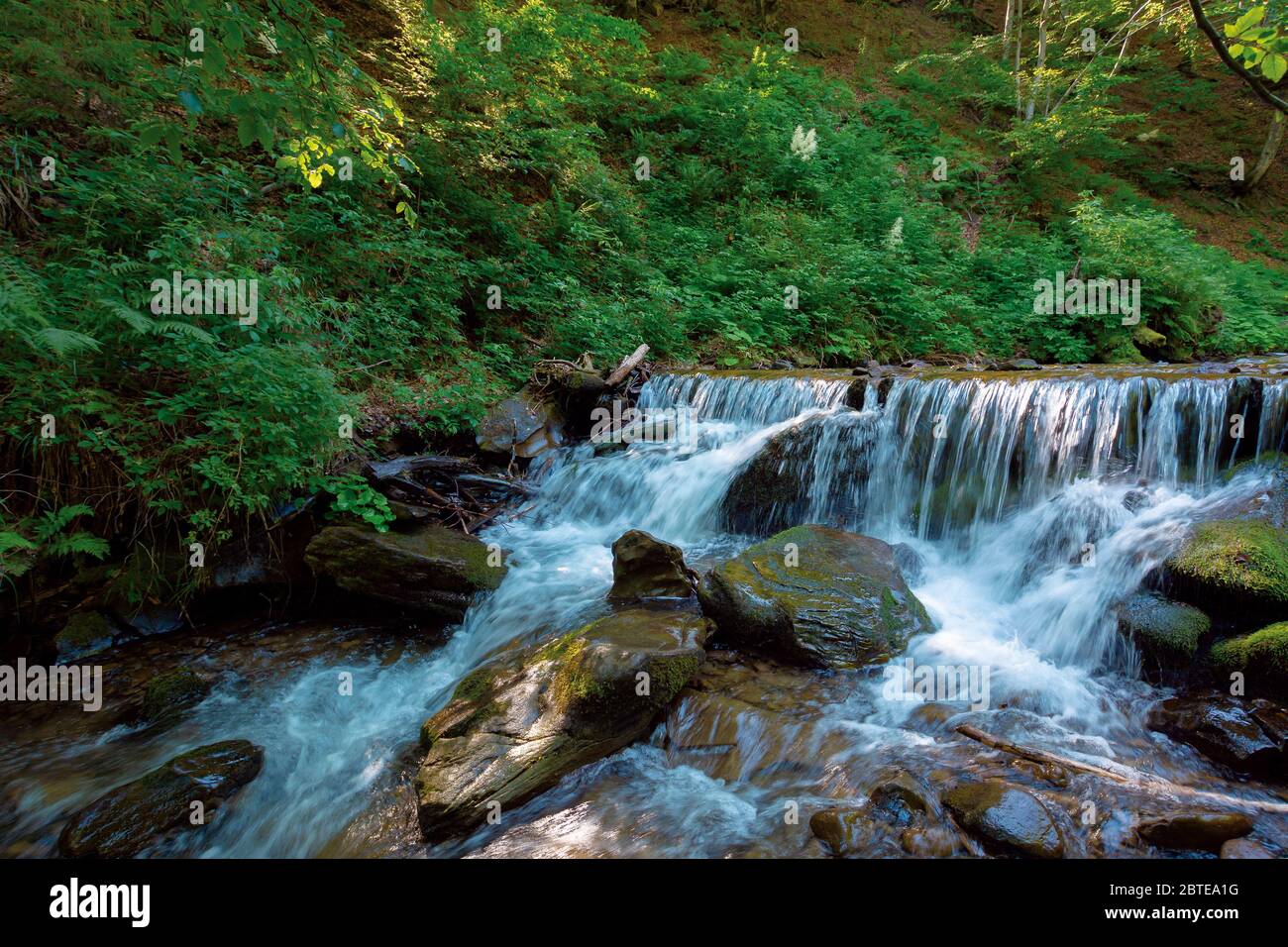mountain river in the forest. fresh water stream from waterfall ...