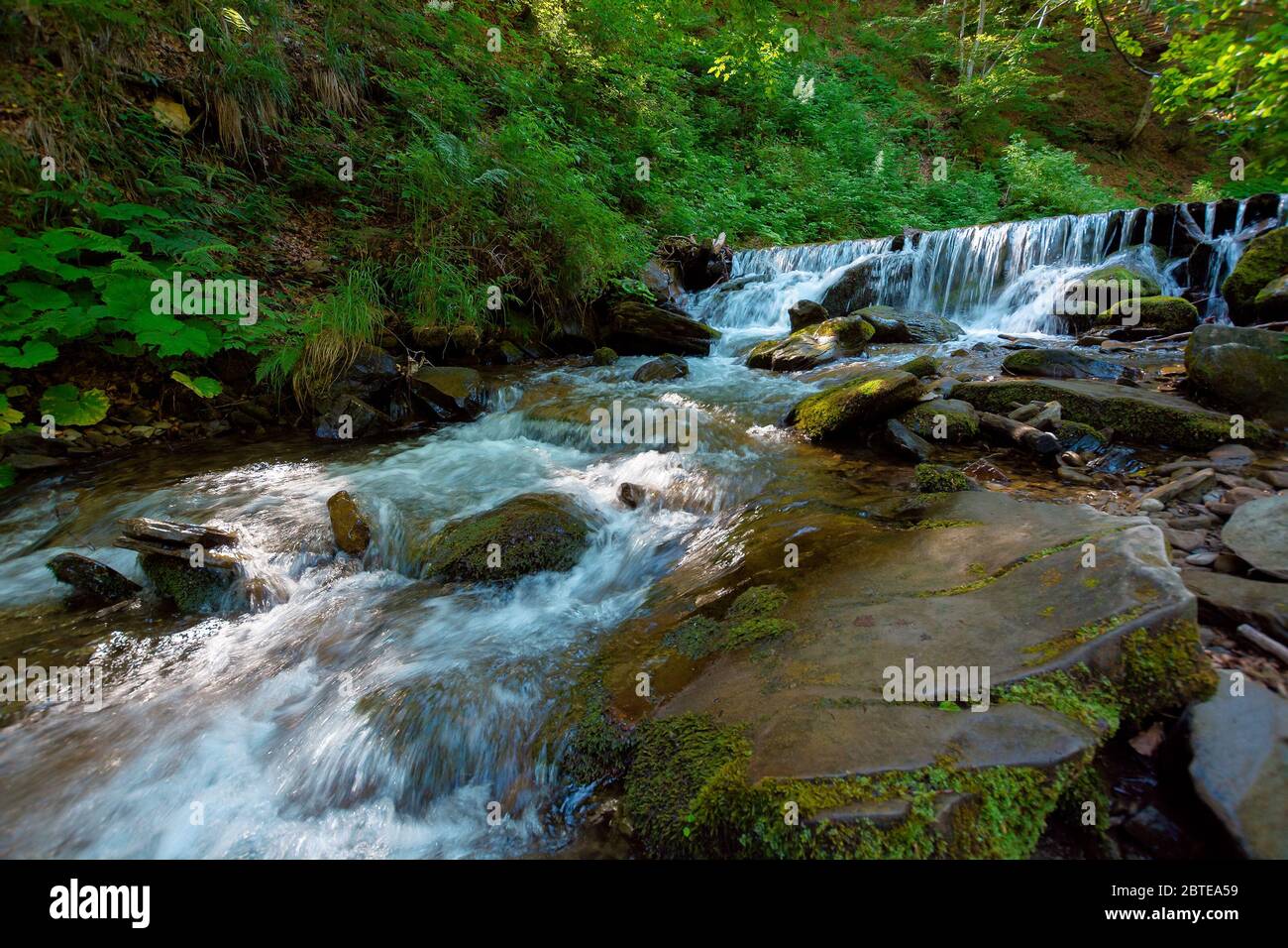 mountain river in the forest. fresh water stream from waterfall ...