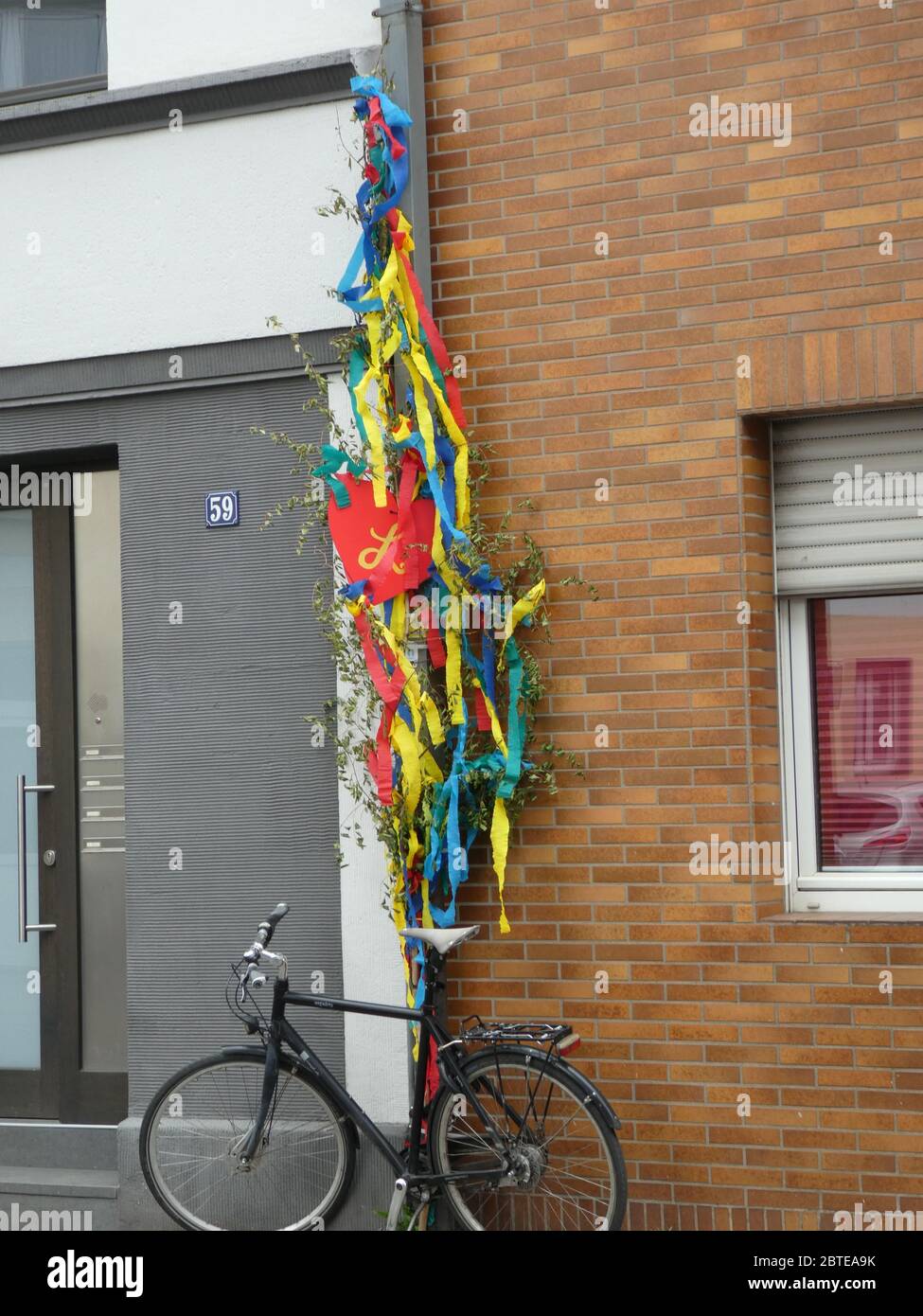 Cologne, Germany. 08th May, 2020. A maypole (birch) decorated with ...
