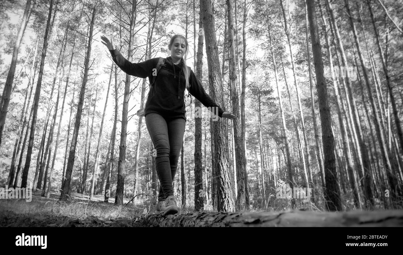 Log across trail Black and White Stock Photos & Images - Alamy