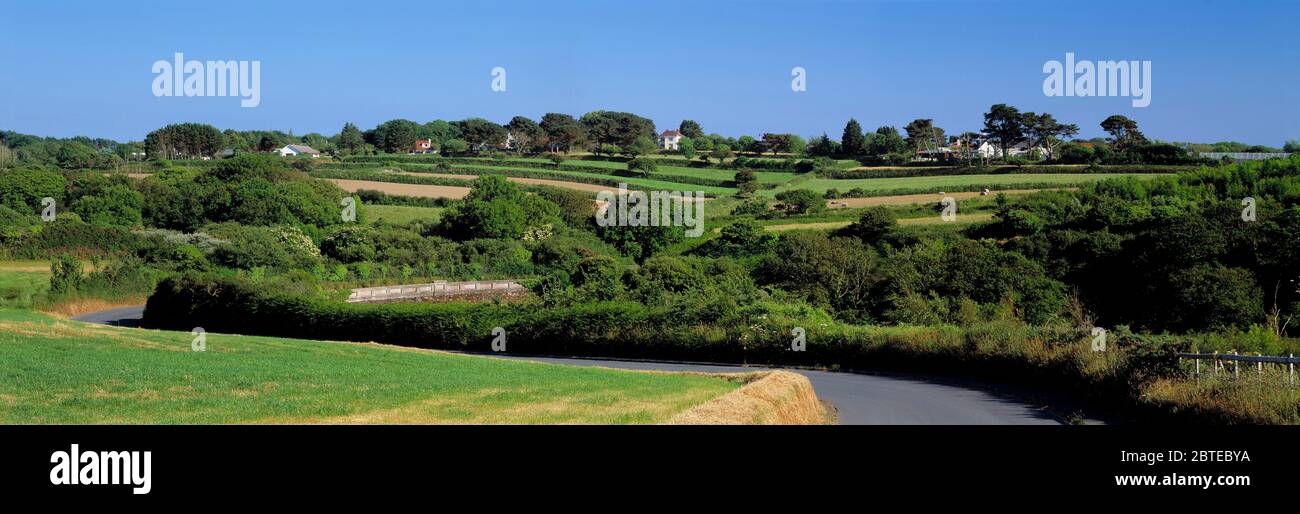 Channel islands country lane hi-res stock photography and images - Alamy