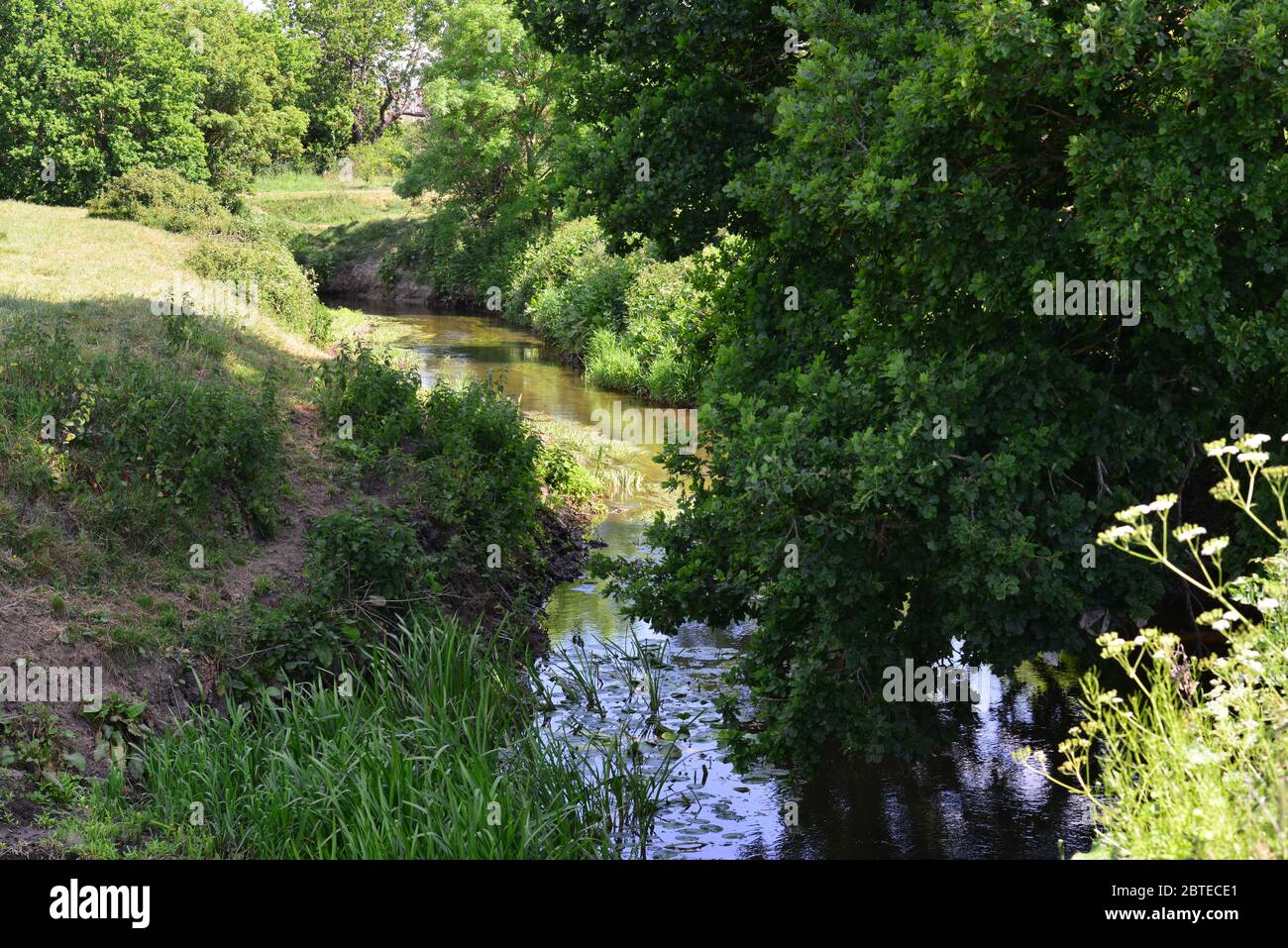 The River Mole in May in Horley in Surrey Stock Photo - Alamy