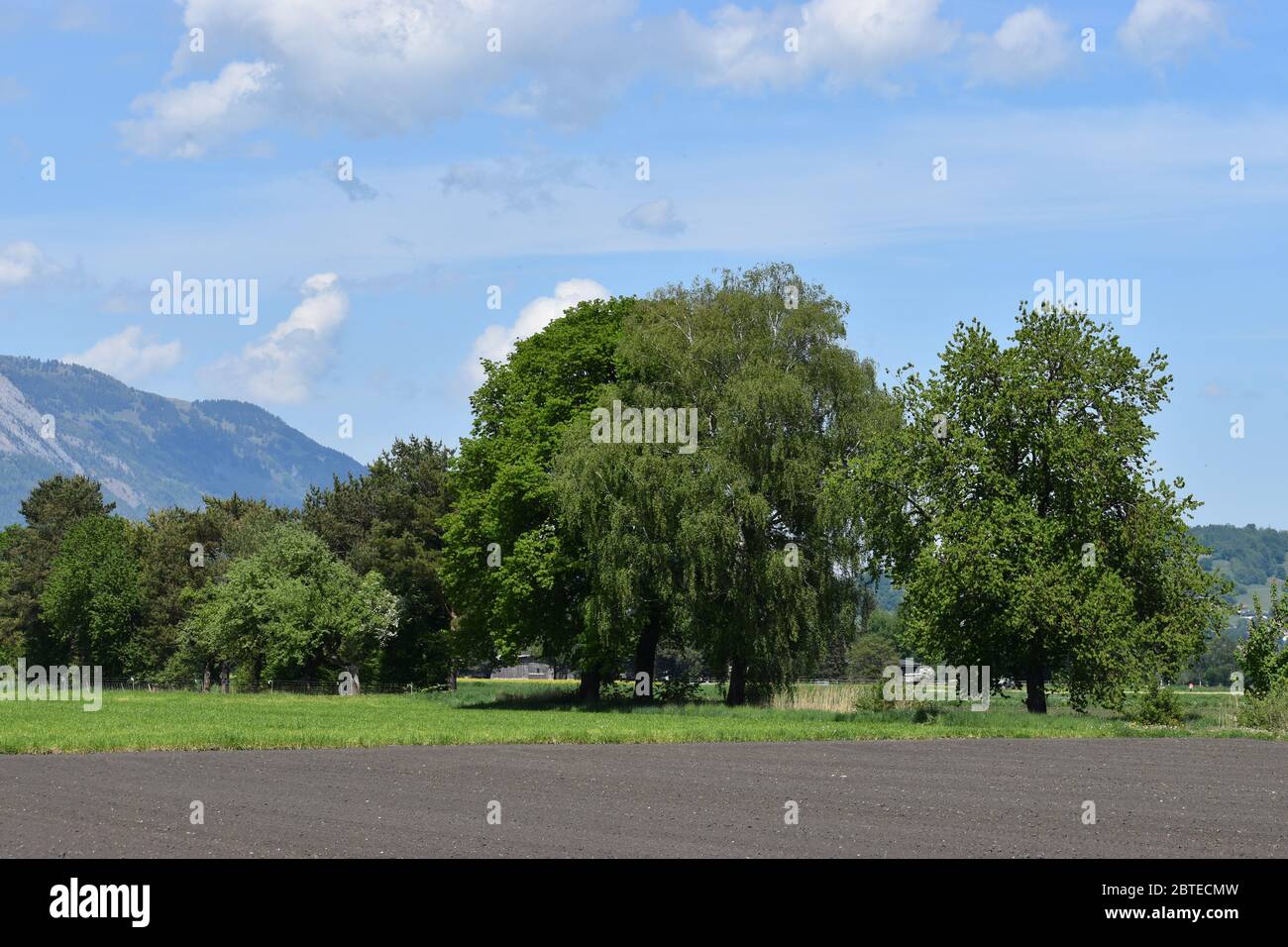 Landscape view in Liechtenstein Stock Photo - Alamy