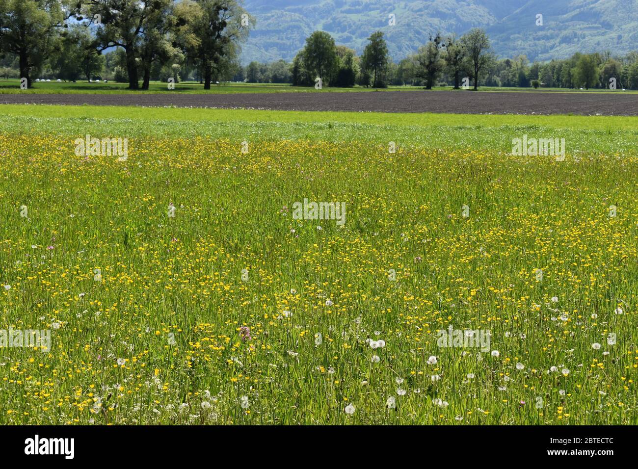 Landscape view in Liechtenstein Stock Photo - Alamy