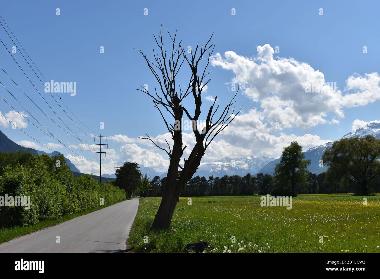 Landscape view in Liechtenstein Stock Photo - Alamy