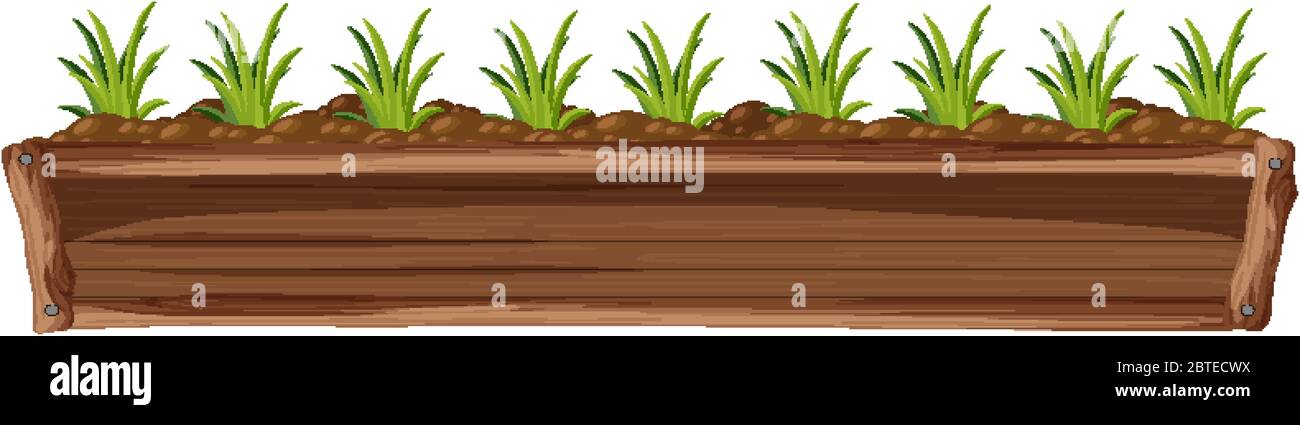 Green plants in wooden box on white background illustration Stock ...