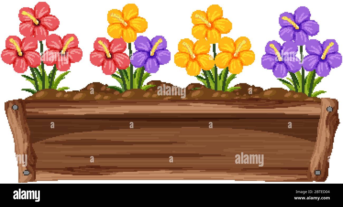 Colorful flowers in wooden box on white background illustration Stock ...