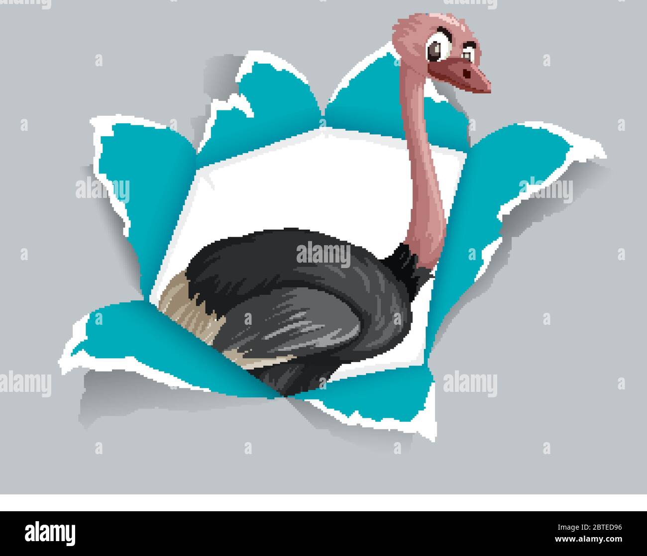Background template design with wild ostrich running illustration Stock ...