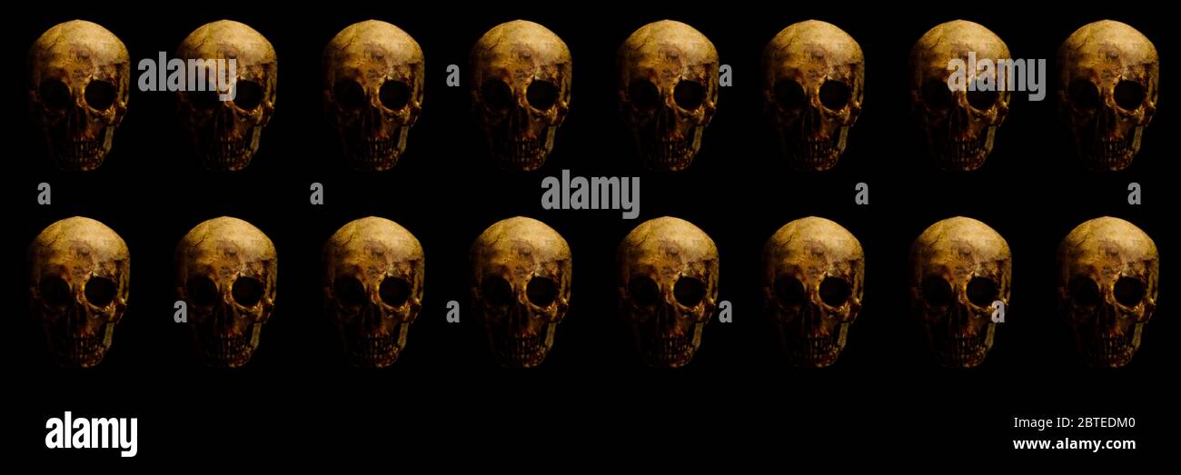 real skull is isolated on black background pattern with texturied bones ...