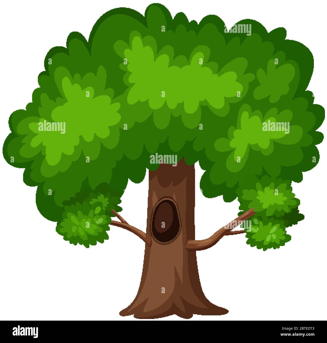 One big tree on white background illustration Stock Vector Image & Art ...