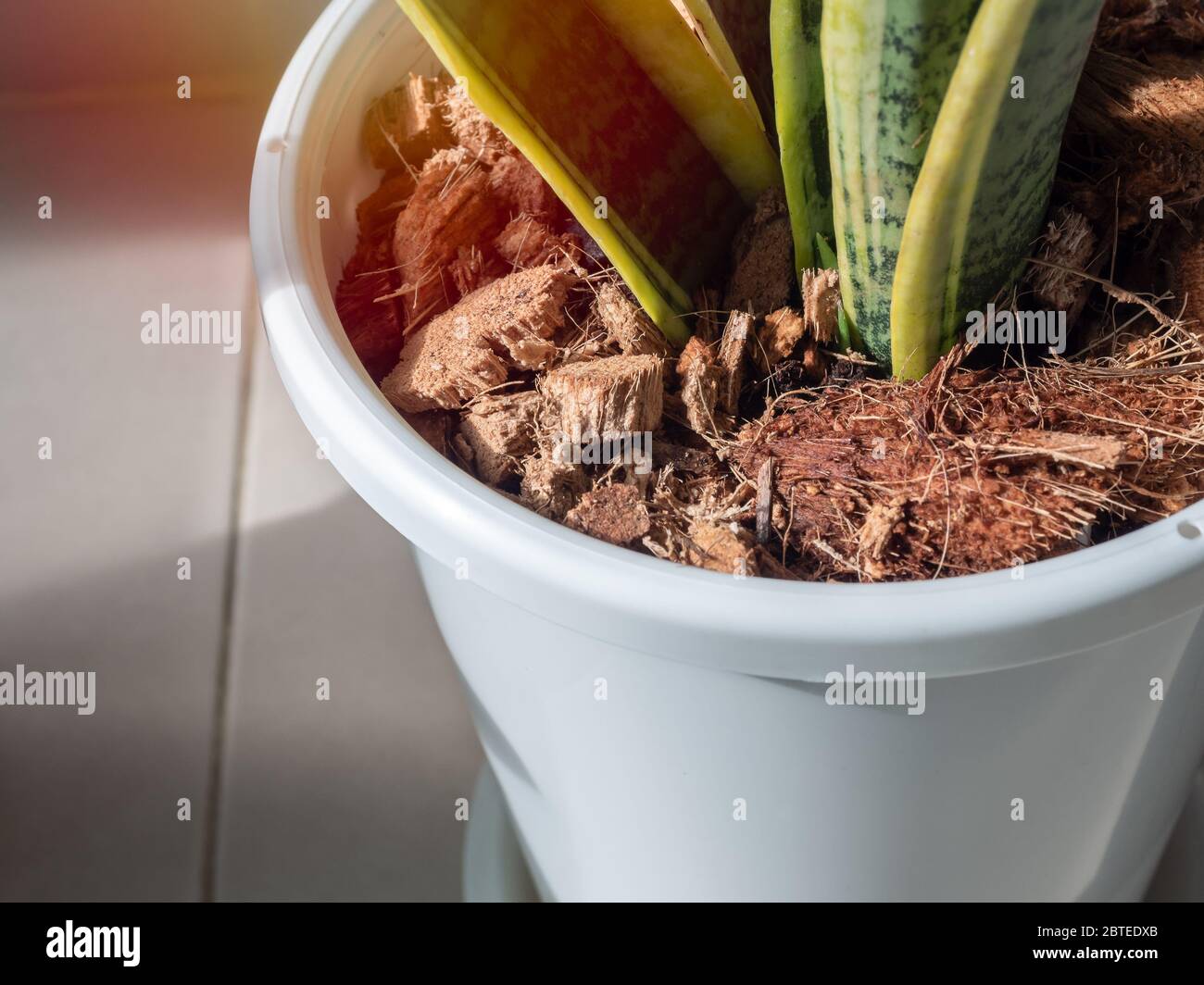 Coir floor hi-res stock photography and images - Alamy