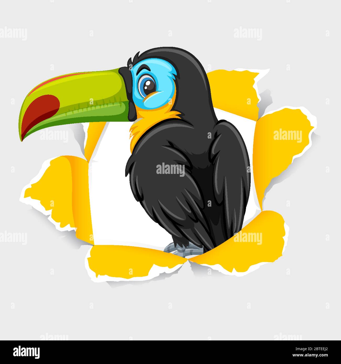 Background template design with wild toucan bird illustration Stock ...