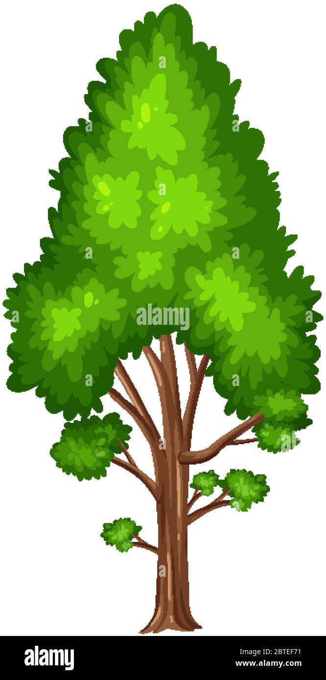 One big tree on white background illustration Stock Vector Image & Art ...