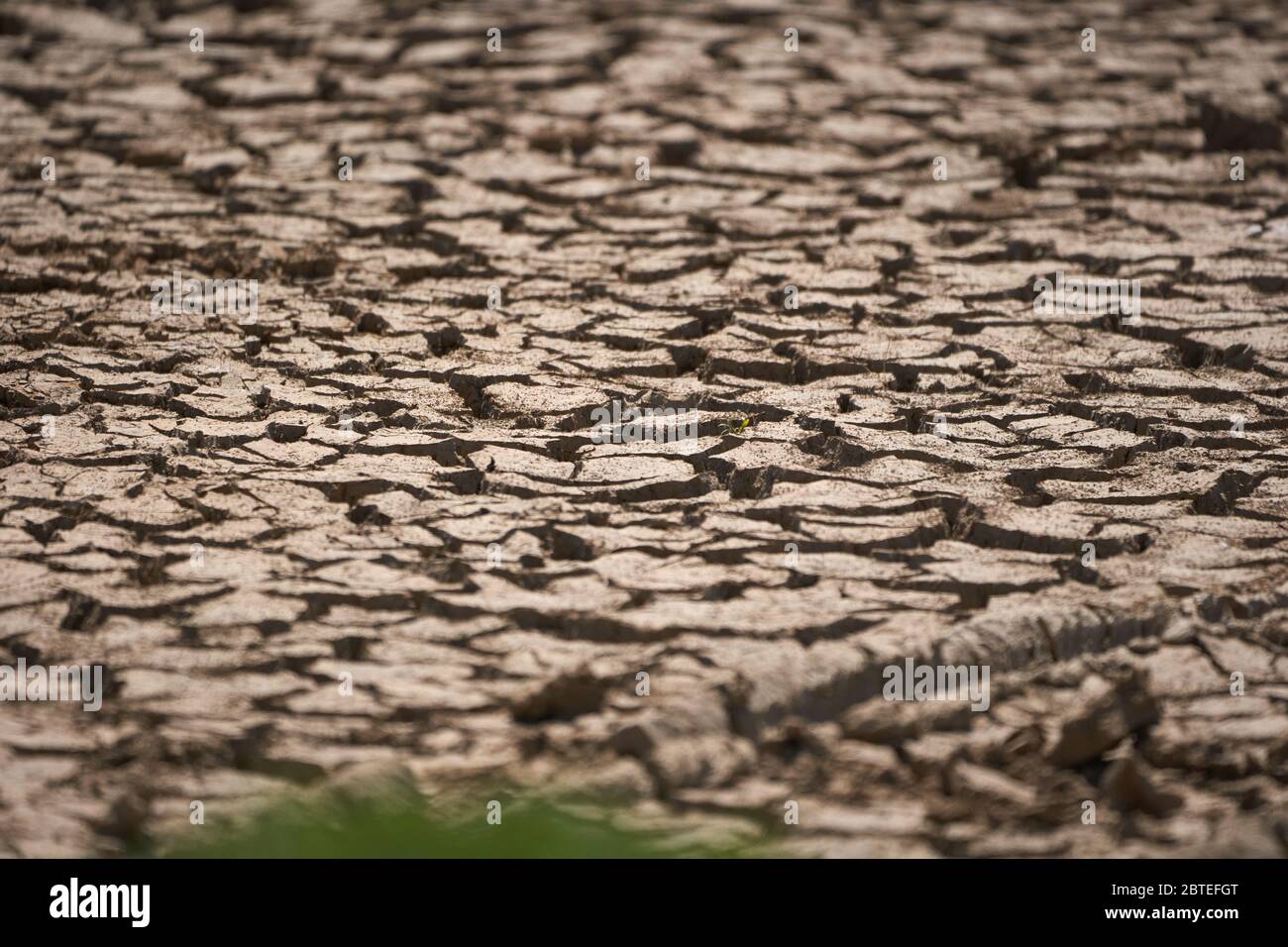 Closeup of dry cracked soil in a hot summer day Stock Photo - Alamy
