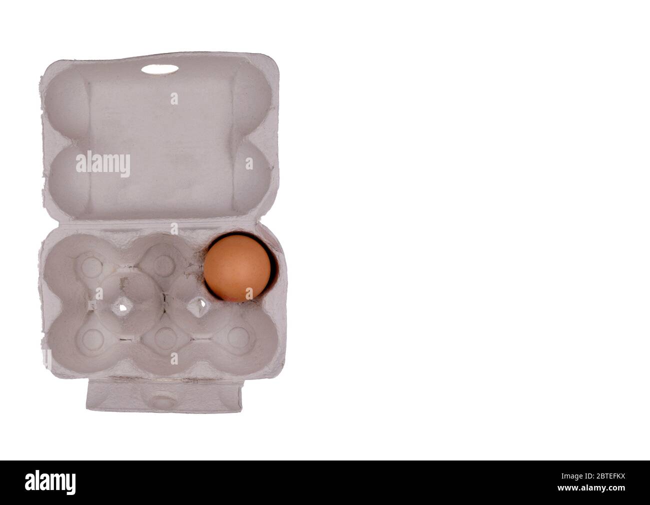 Single Egg in Egg Box on White Background Stock Photo - Alamy