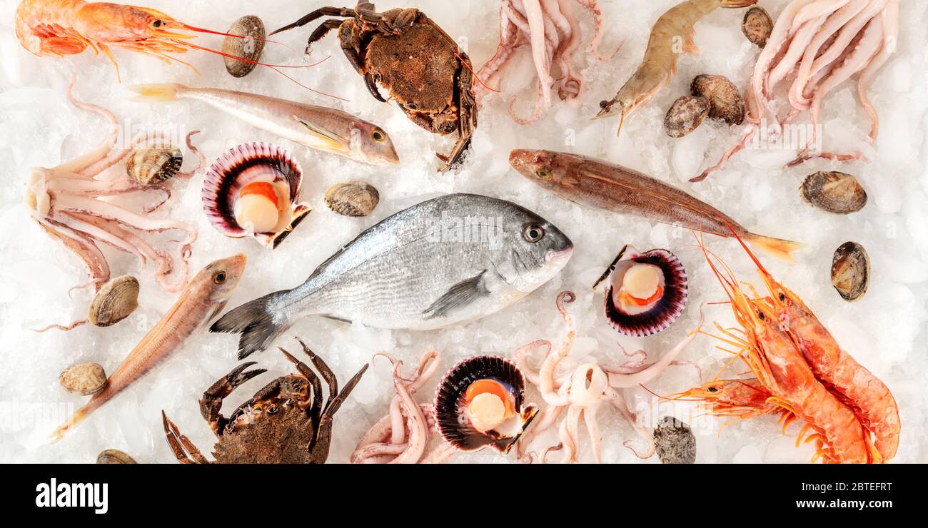 Fish and seafood panorama, shot from above on ice on a white background ...
